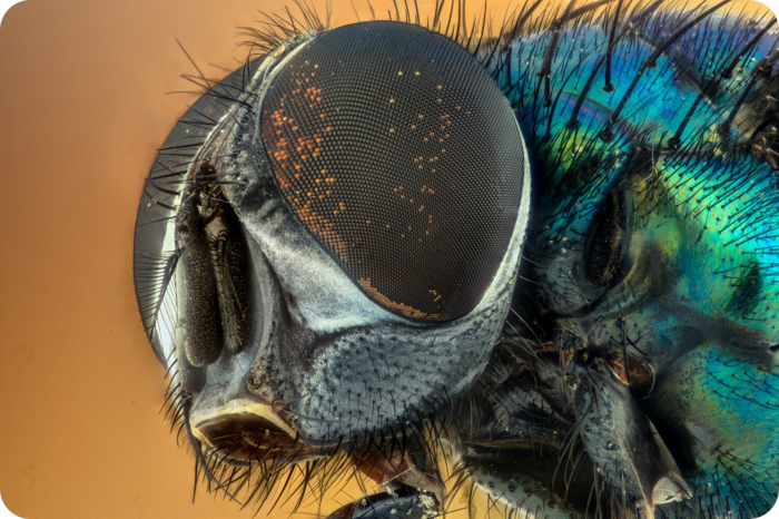 HOME [macrography.webnode.es]